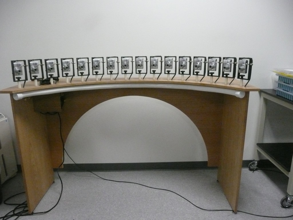 16 Camera Matrix for Holographic Images – ASE Industries